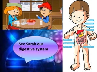 Teeth and digestive system | PDF