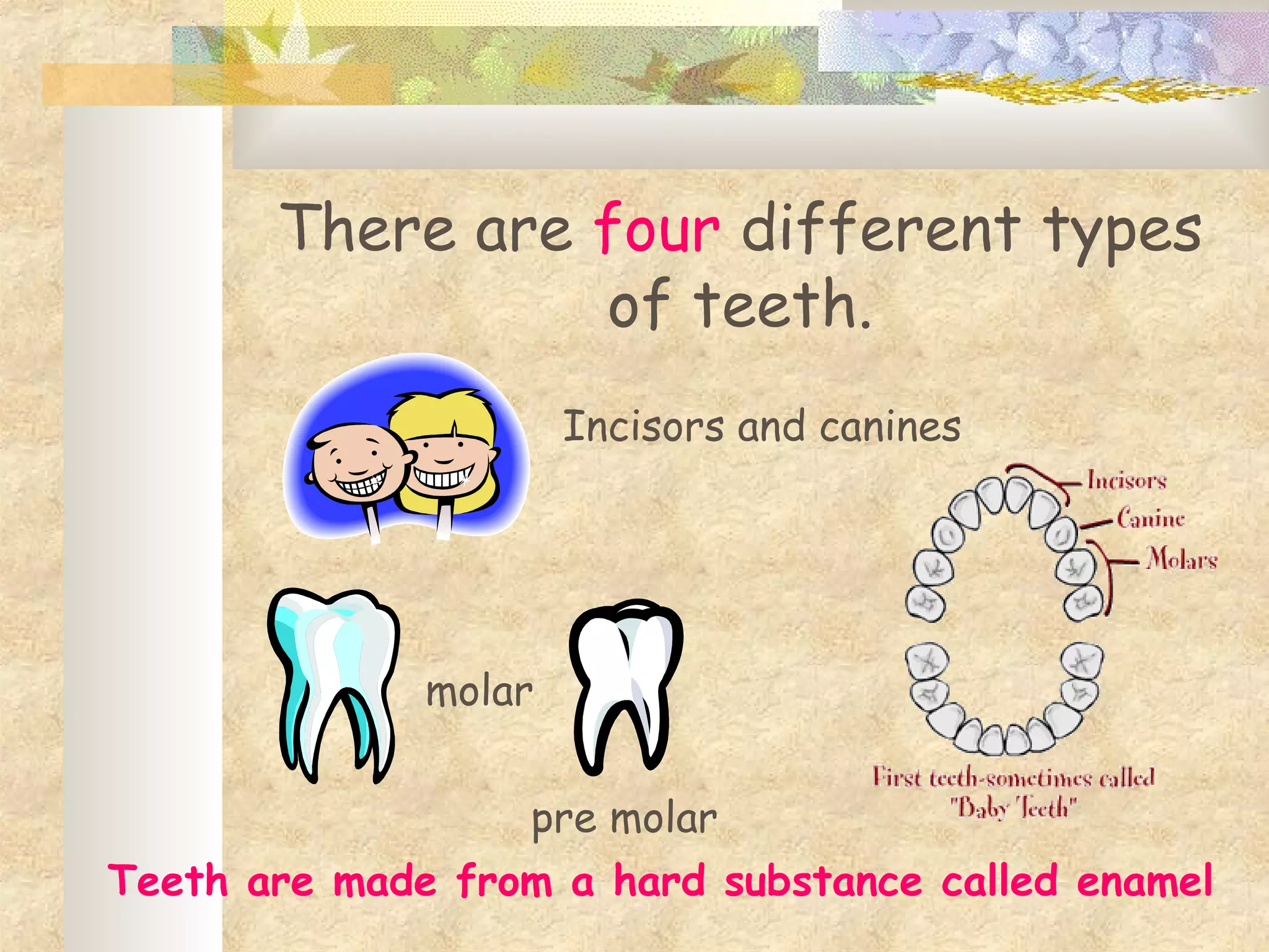 Teeth and Healthy Eating For KS2 | PPT