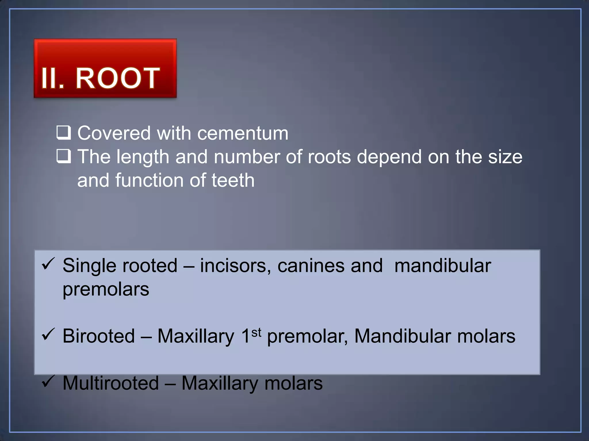 Physiology of Teeth and Its Supporting Structures | PPTX