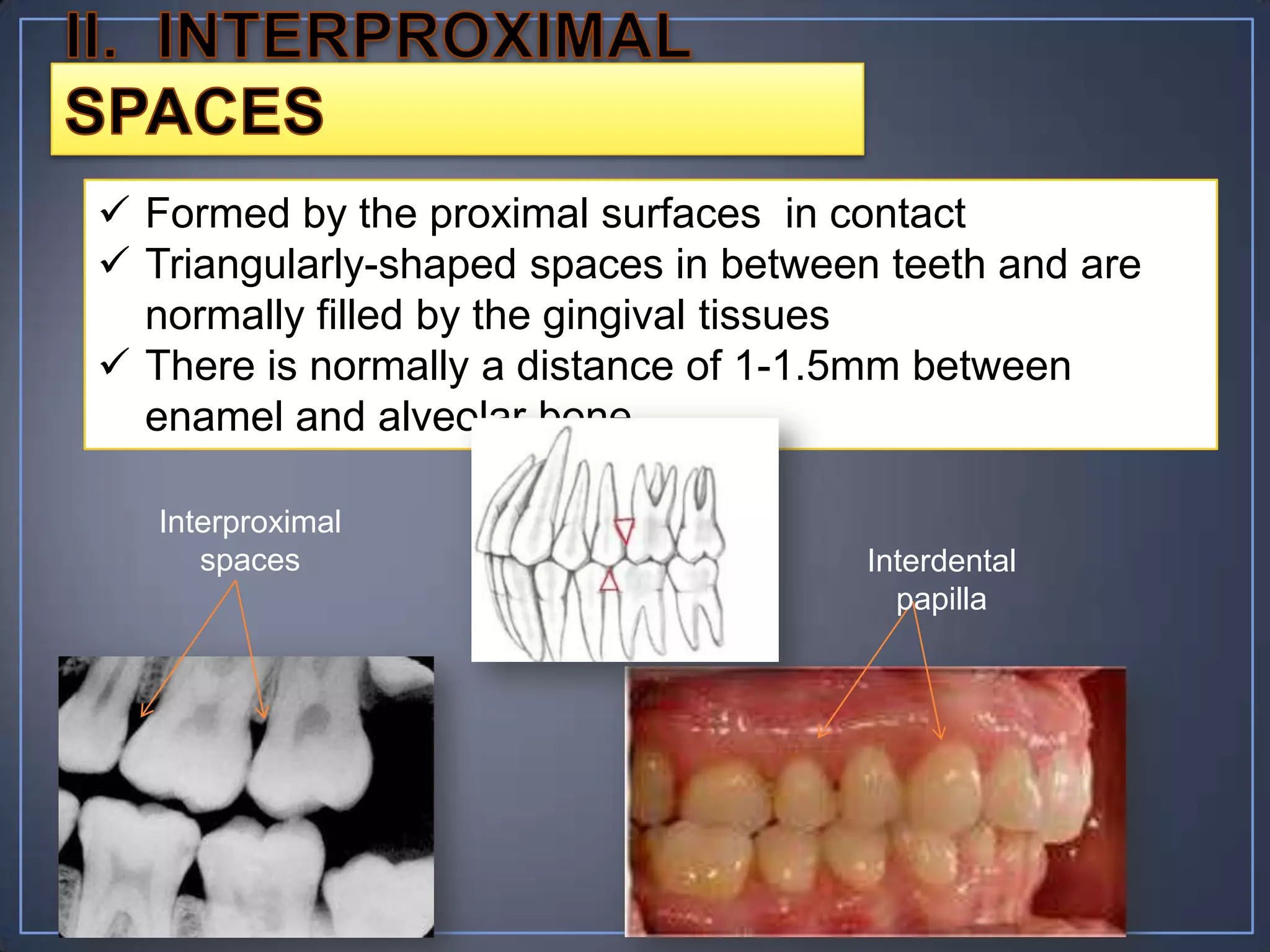 Physiology of Teeth and Its Supporting Structures | PPTX