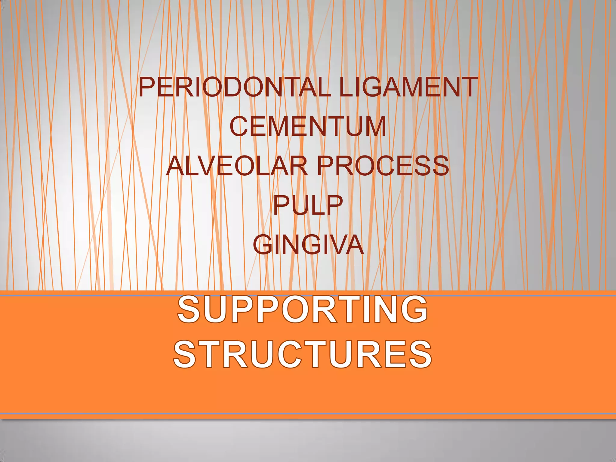 Physiology of Teeth and Its Supporting Structures | PPTX