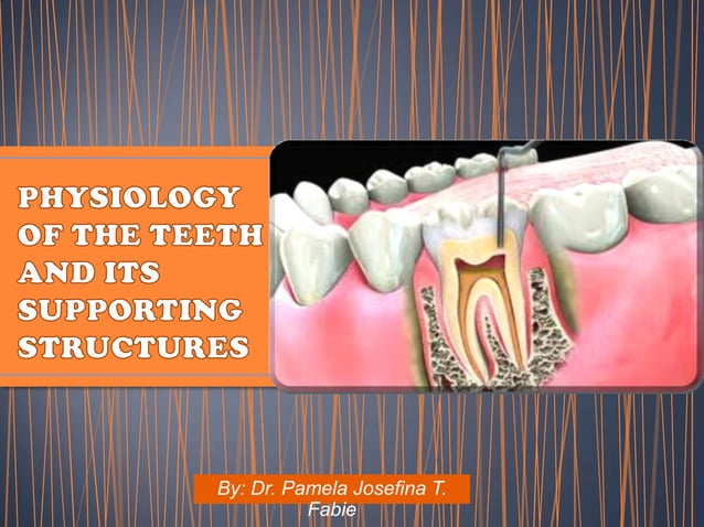 Physiology of Teeth and Its Supporting Structures | PPTX