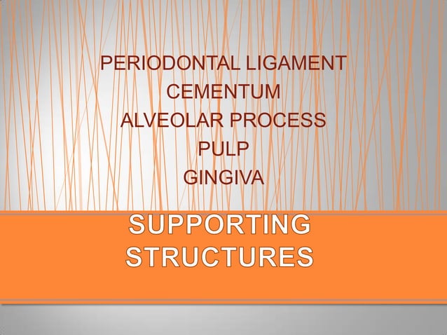 Physiology of Teeth and Its Supporting Structures | PPTX