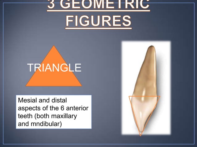 Physiology of Teeth and Its Supporting Structures | PPTX