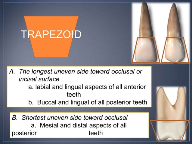 Physiology of Teeth and Its Supporting Structures | PPTX