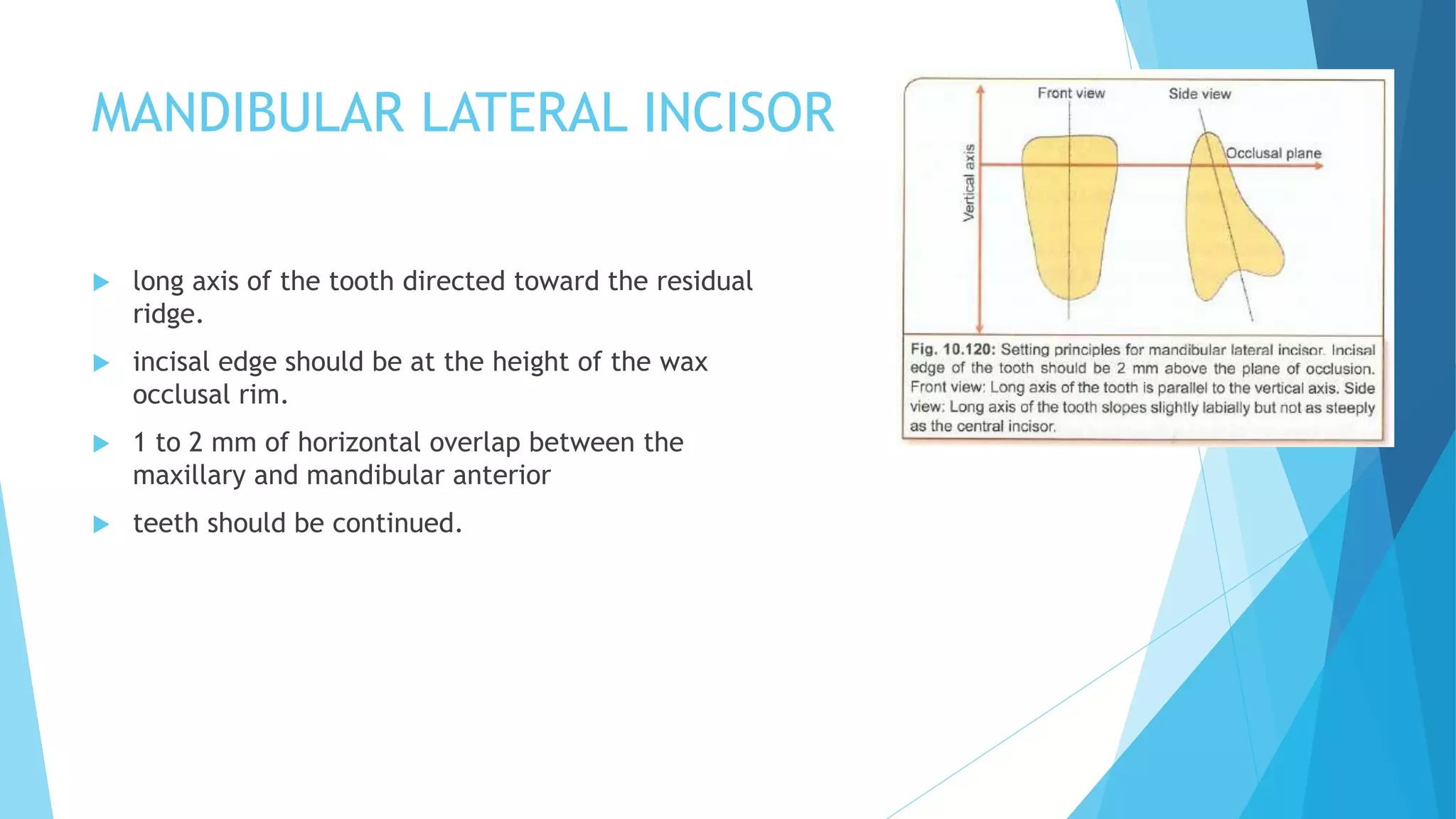 Teeth arrangement in balanced occlusion | PPTX