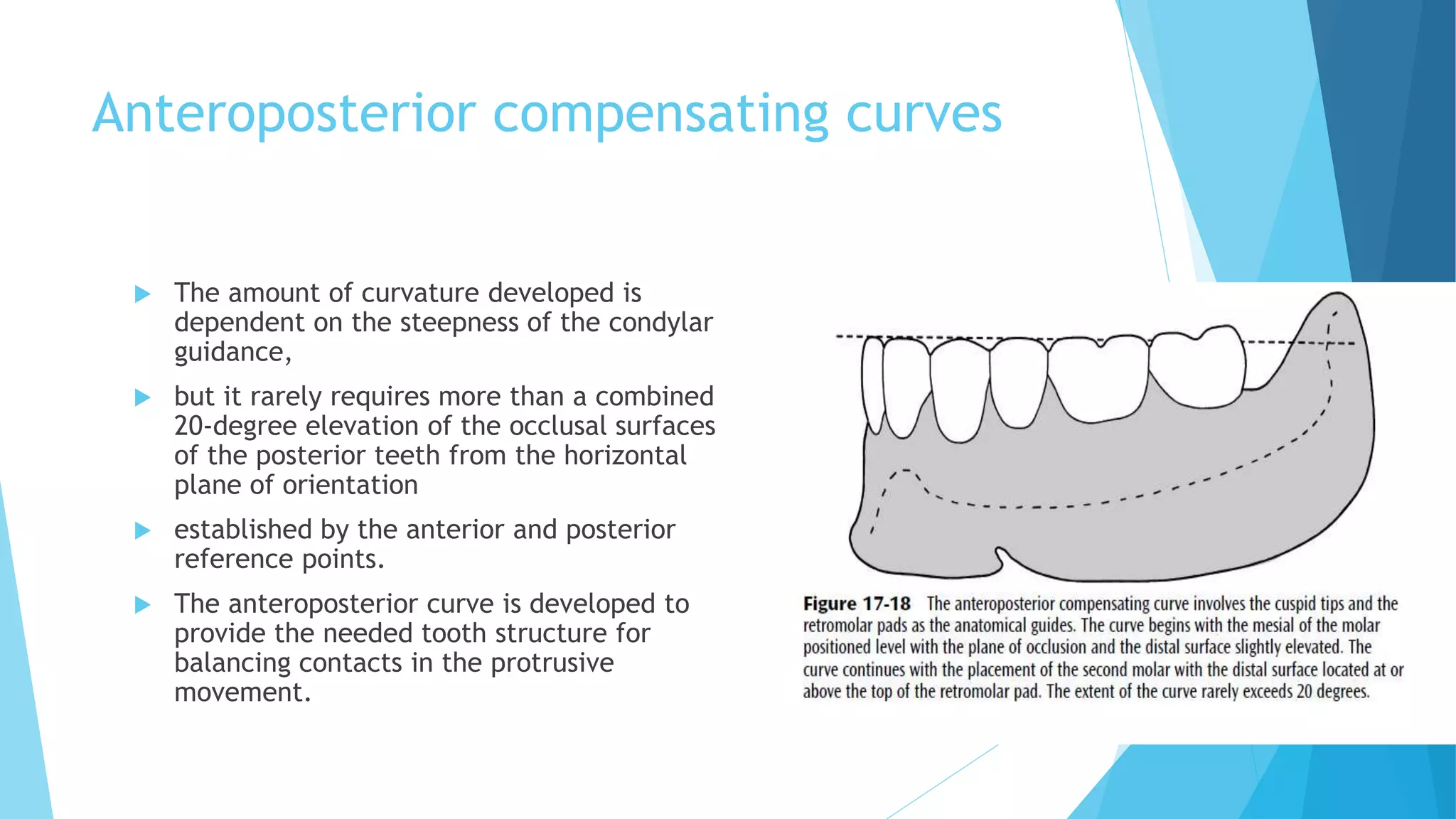 Teeth arrangement in balanced occlusion | PPTX
