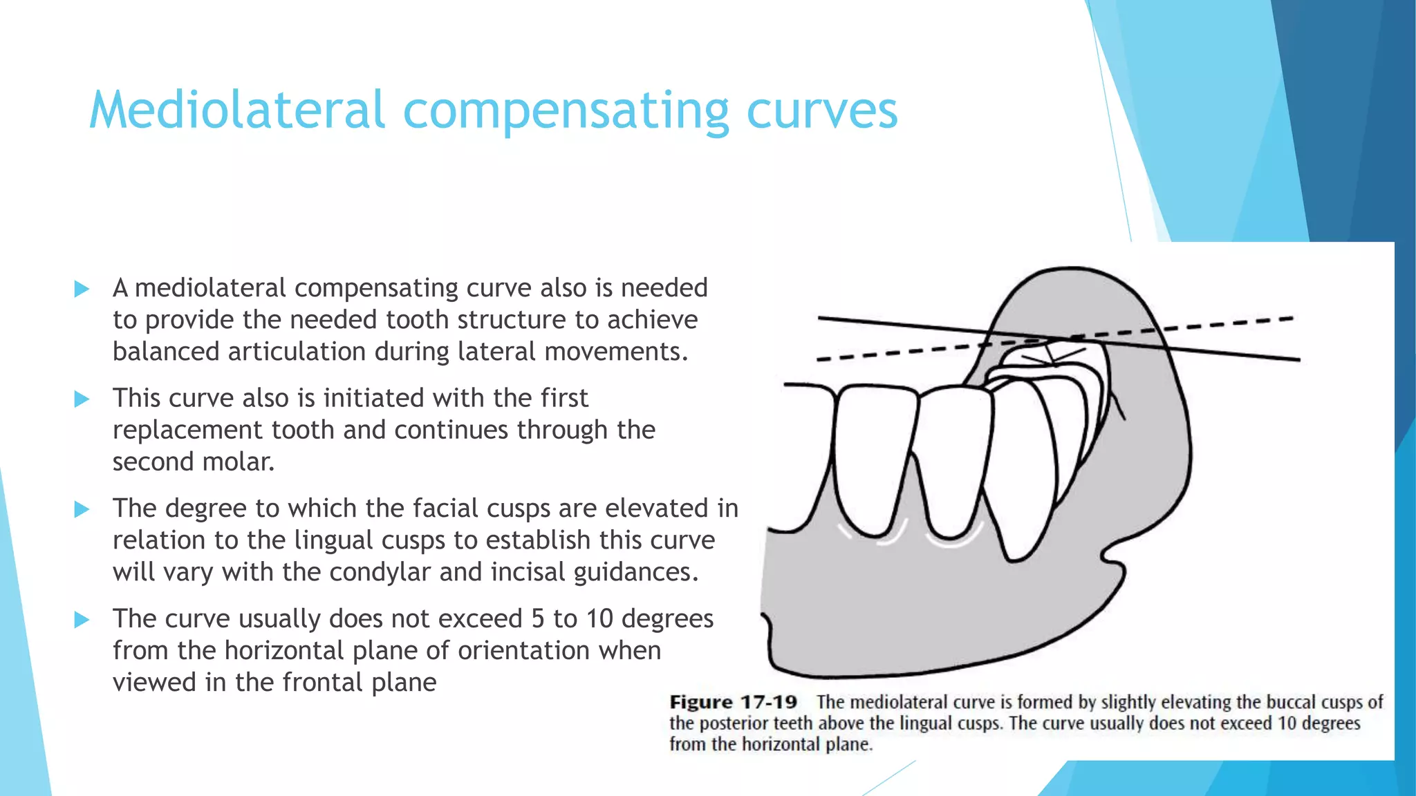 Teeth arrangement in balanced occlusion | PPTX