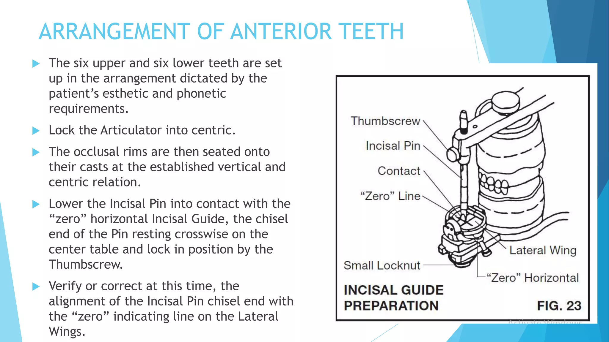 Teeth arrangement in balanced occlusion | PPTX