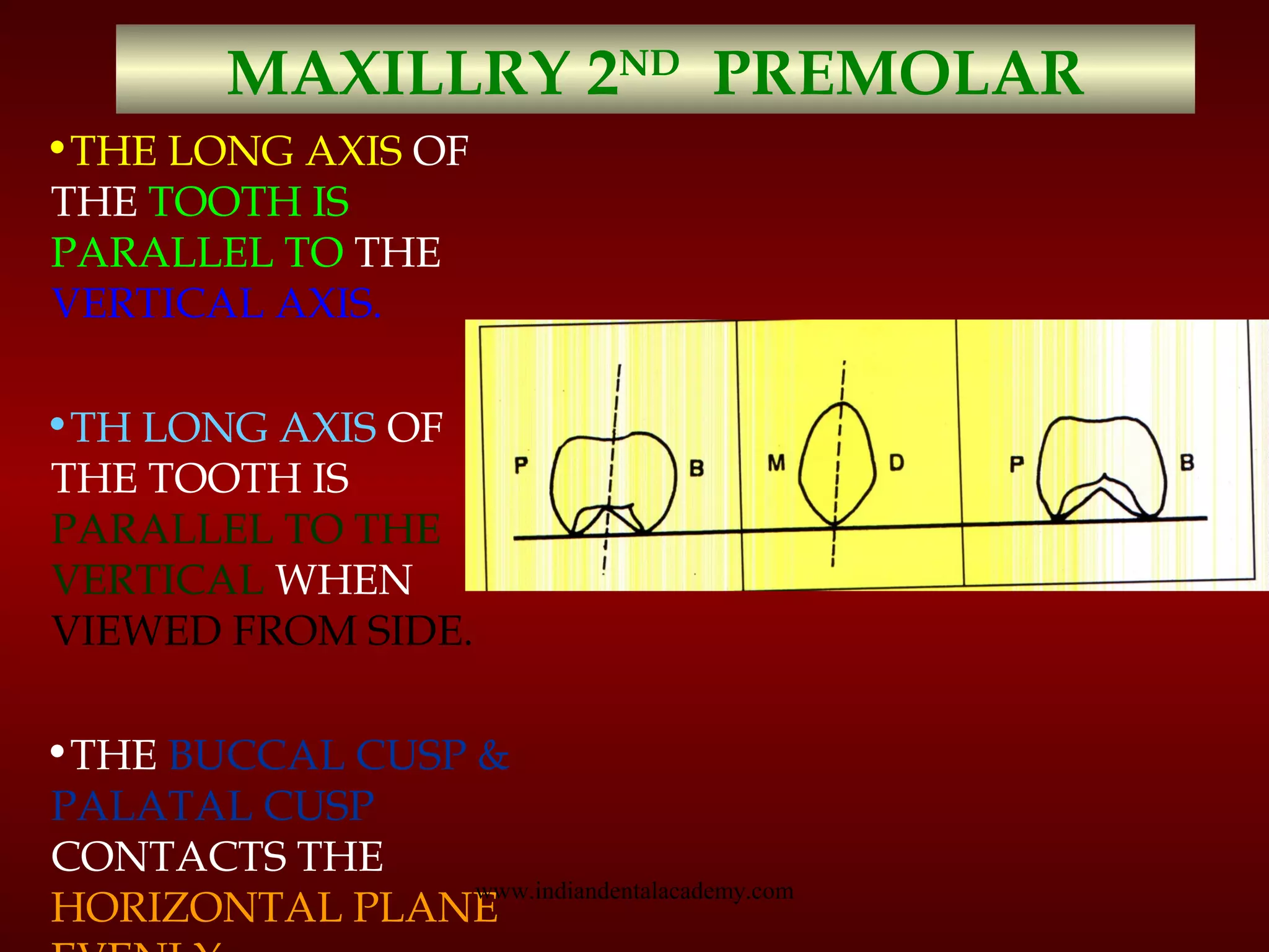 Teeth arrangement/dental courses | PPT