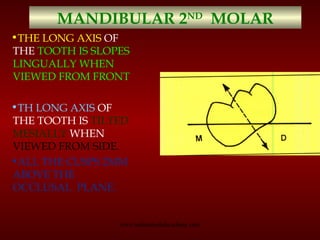 Teeth arrangement/dental courses | PPT | Dental Health | Diseases and ...
