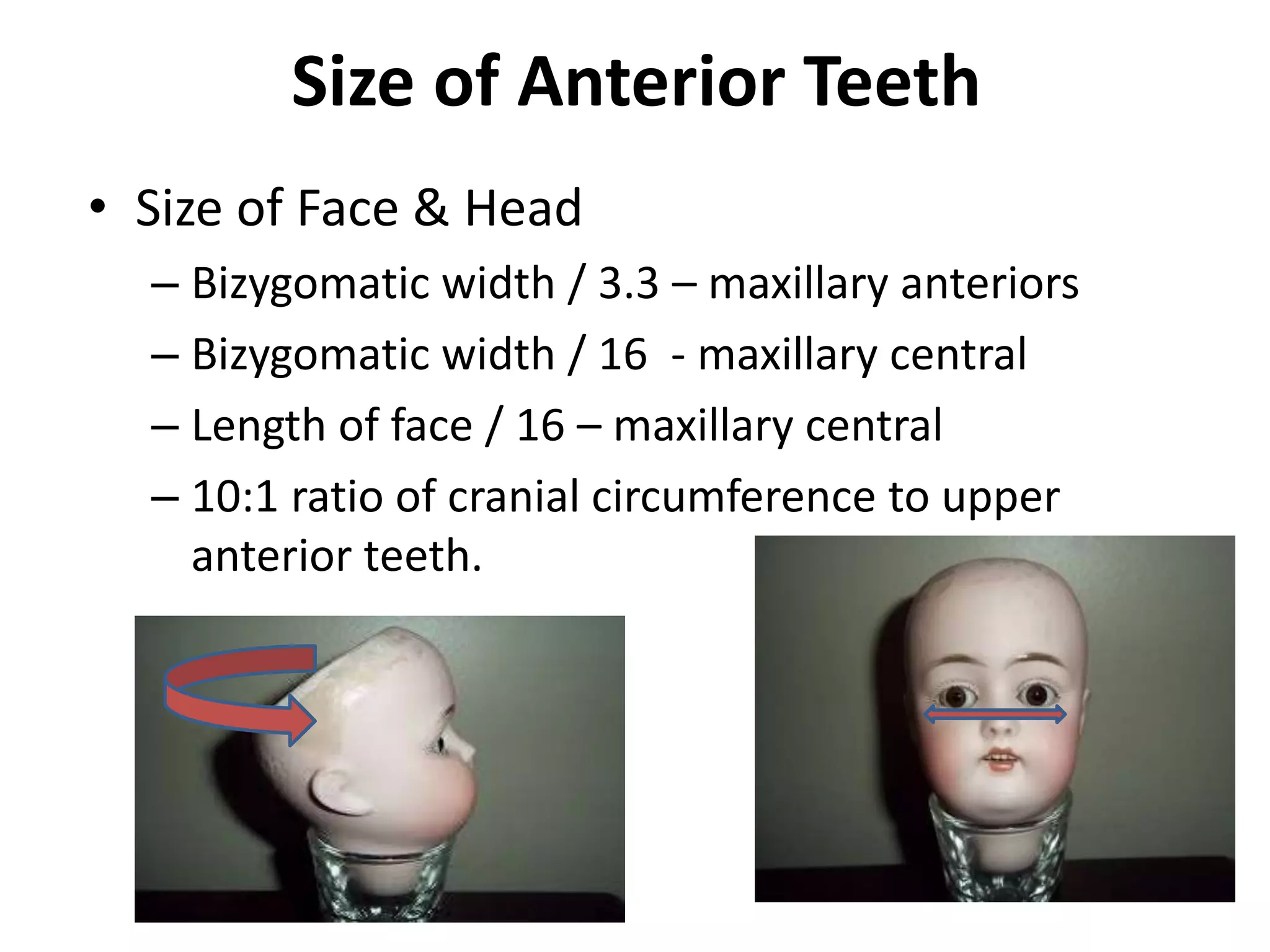 Teeth arrangement | PPTX