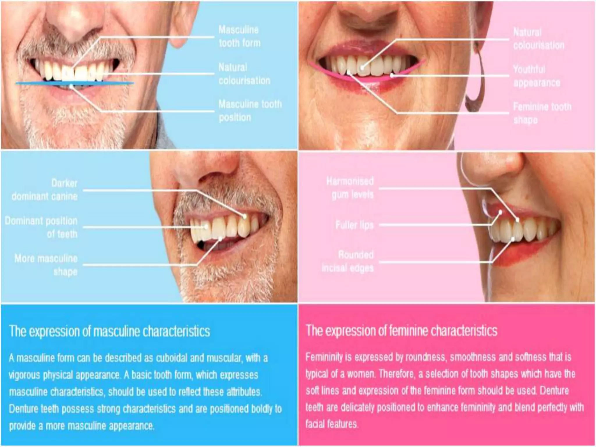 Teeth arrangement | PPTX