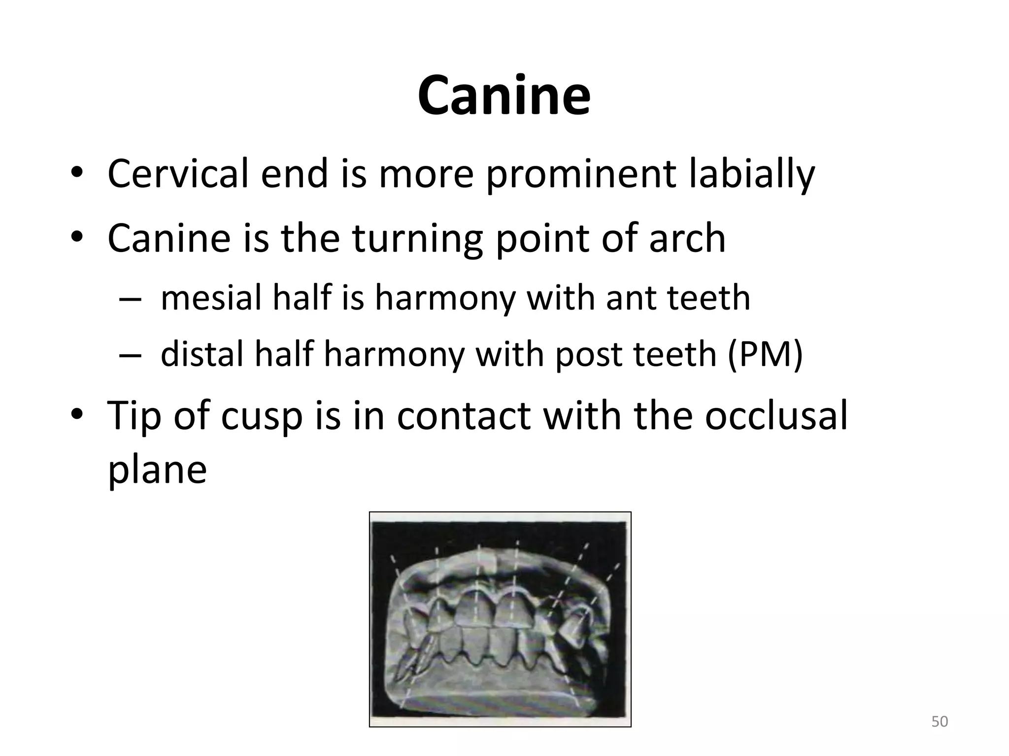 Teeth arrangement | PPTX