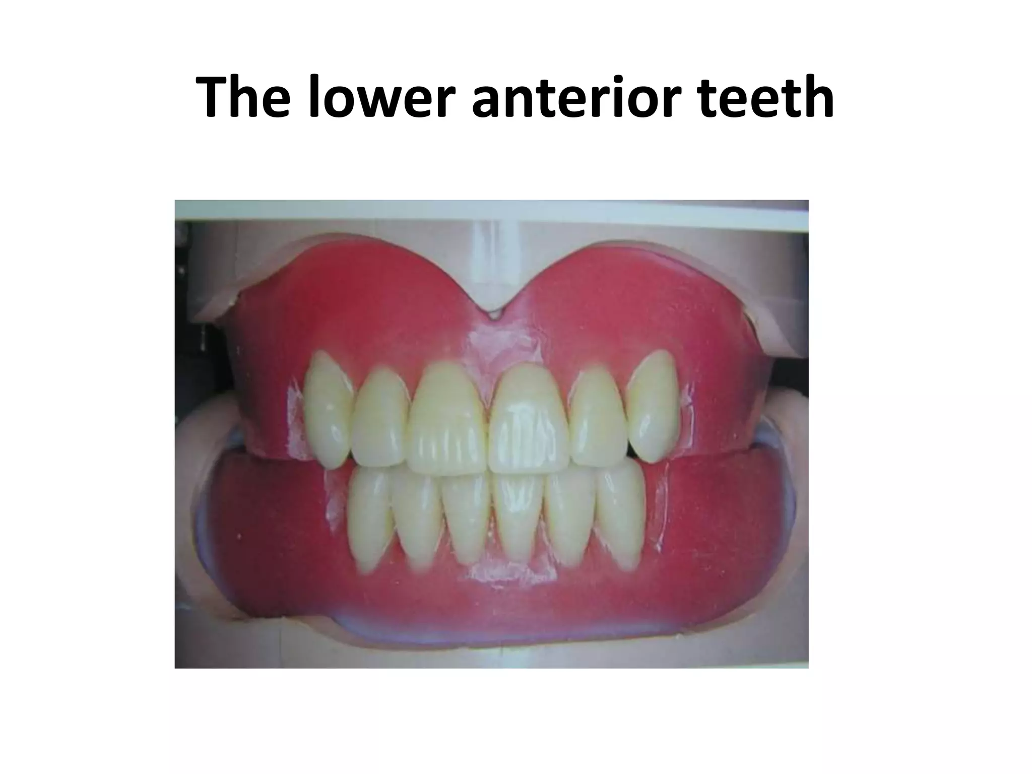 Teeth arrangement | PPTX