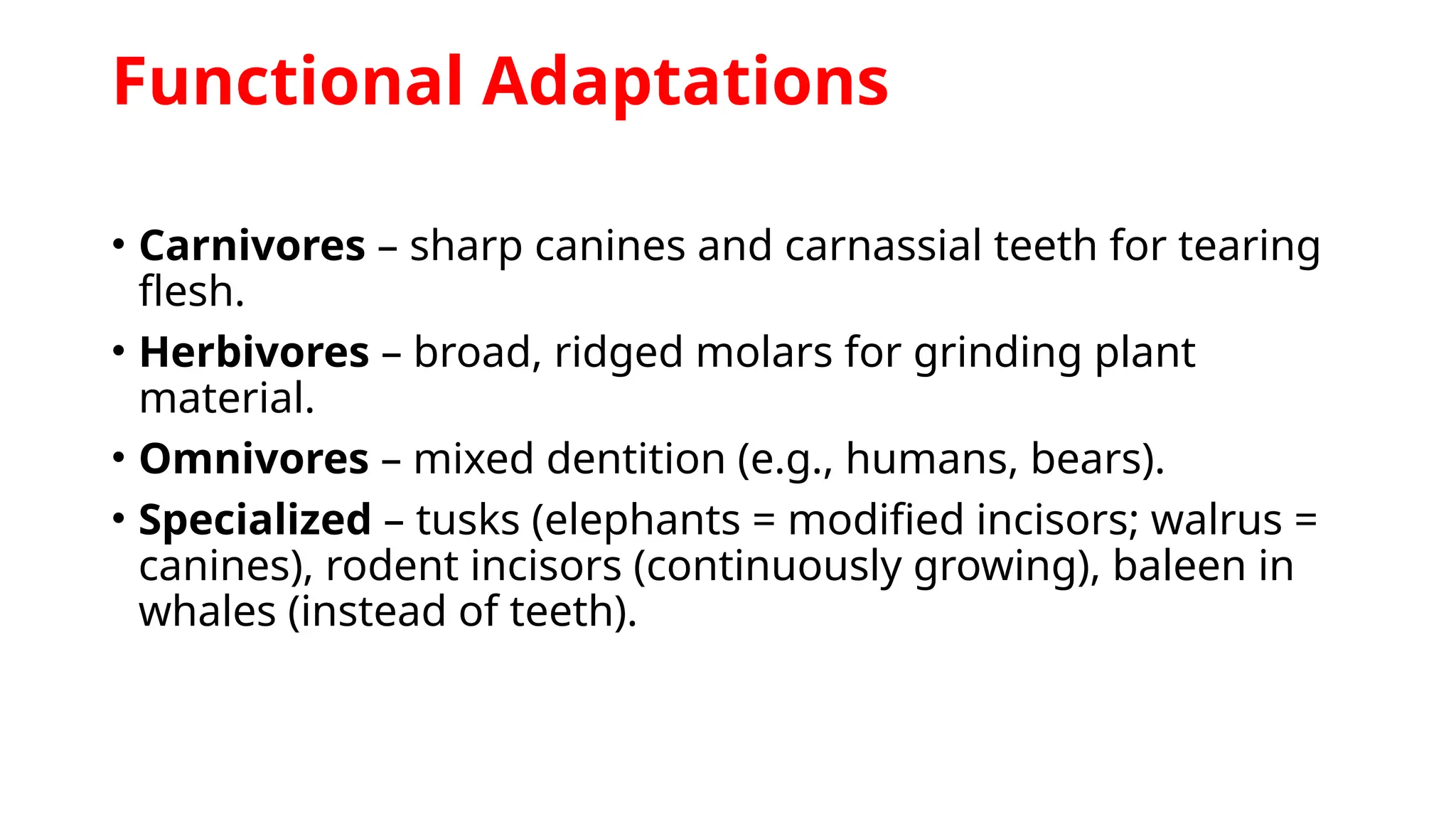 Teeth Development, Structure & Types.pptx