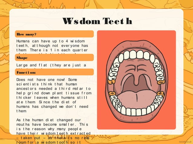 Teeth & digestion | PPT | Medical Health