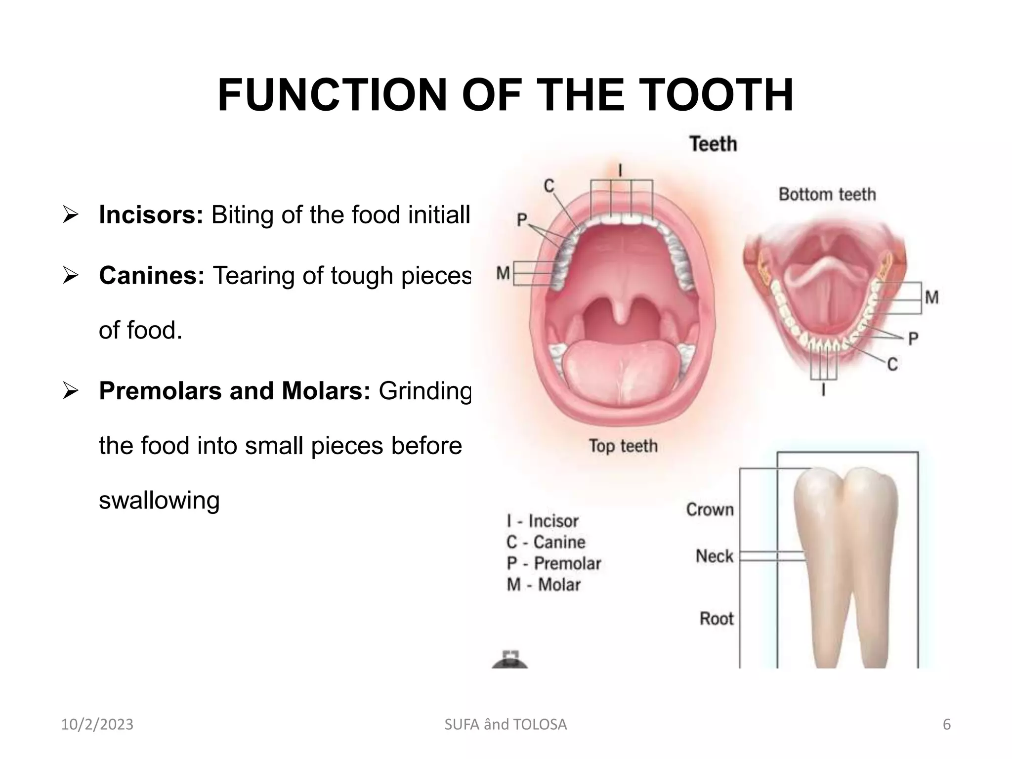 teeth disorders seminar presentation.pptx
