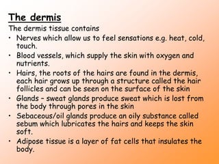 Teeth, good health, personal hygiene | PPT