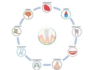 Teeth & heart | PPTX