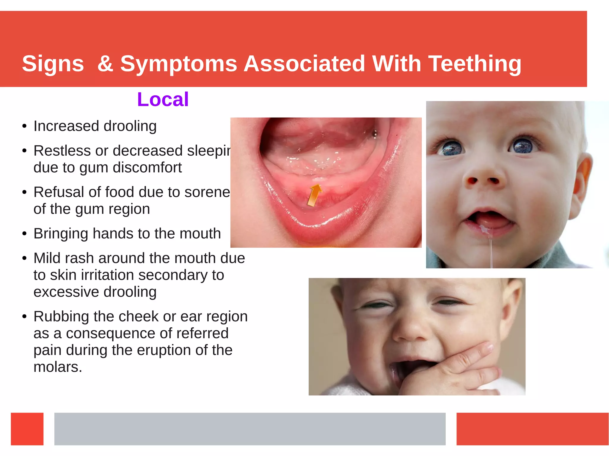 Eruption & Teething | ODP