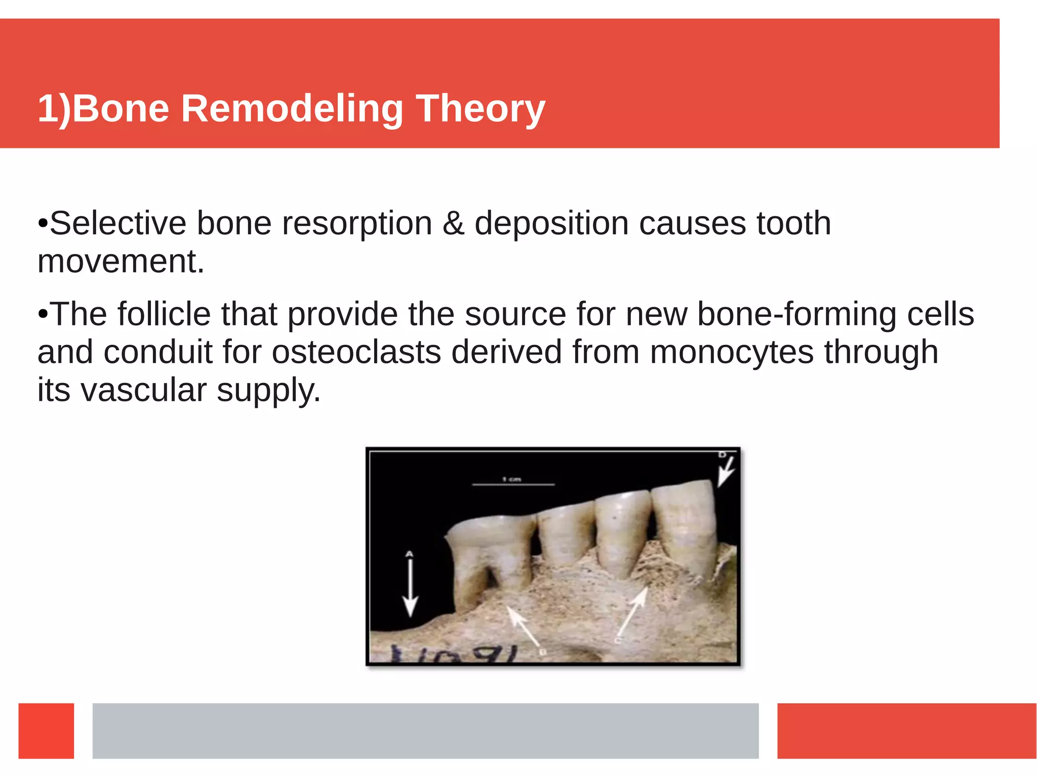 Eruption & Teething | ODP
