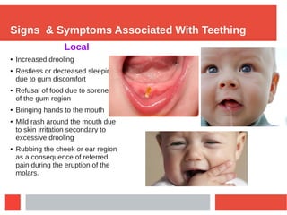 Eruption & Teething | ODP