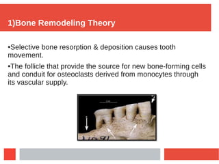 Eruption & Teething | ODP