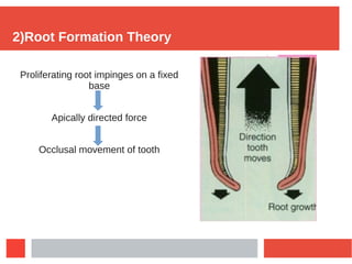 Eruption & Teething | ODP