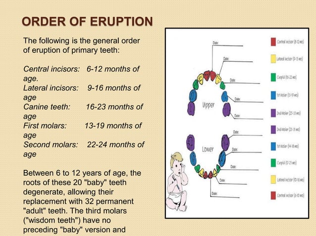 Teething problems & management | PPTX | Dental Health | Diseases and Conditions