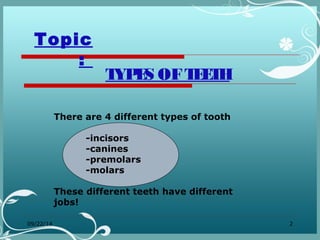 Teeths | PPT