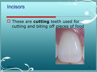 Teeths | PPT