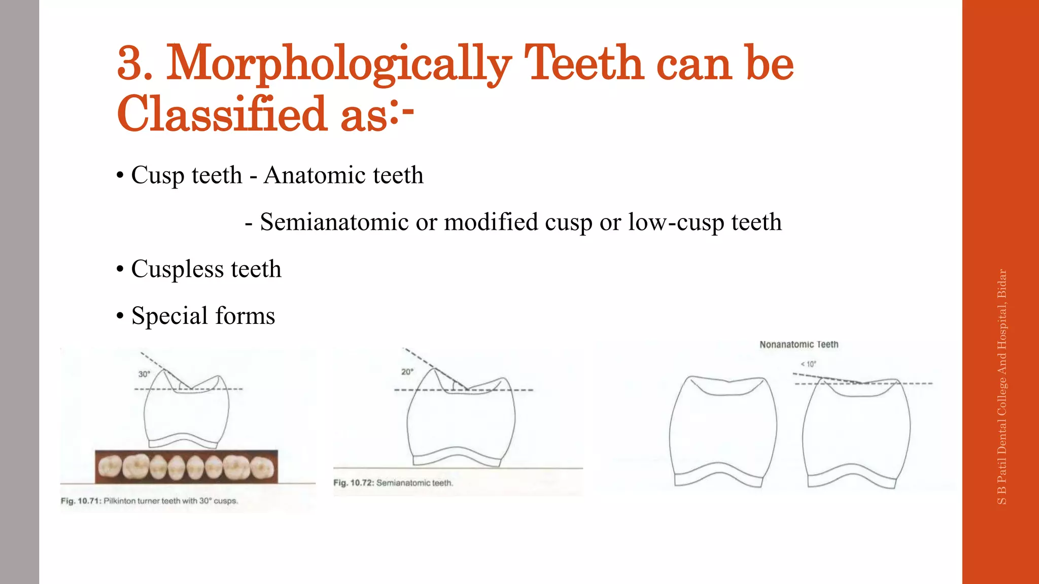 TEETH SELECTION IN COMPLETE DENTURE | PPTX