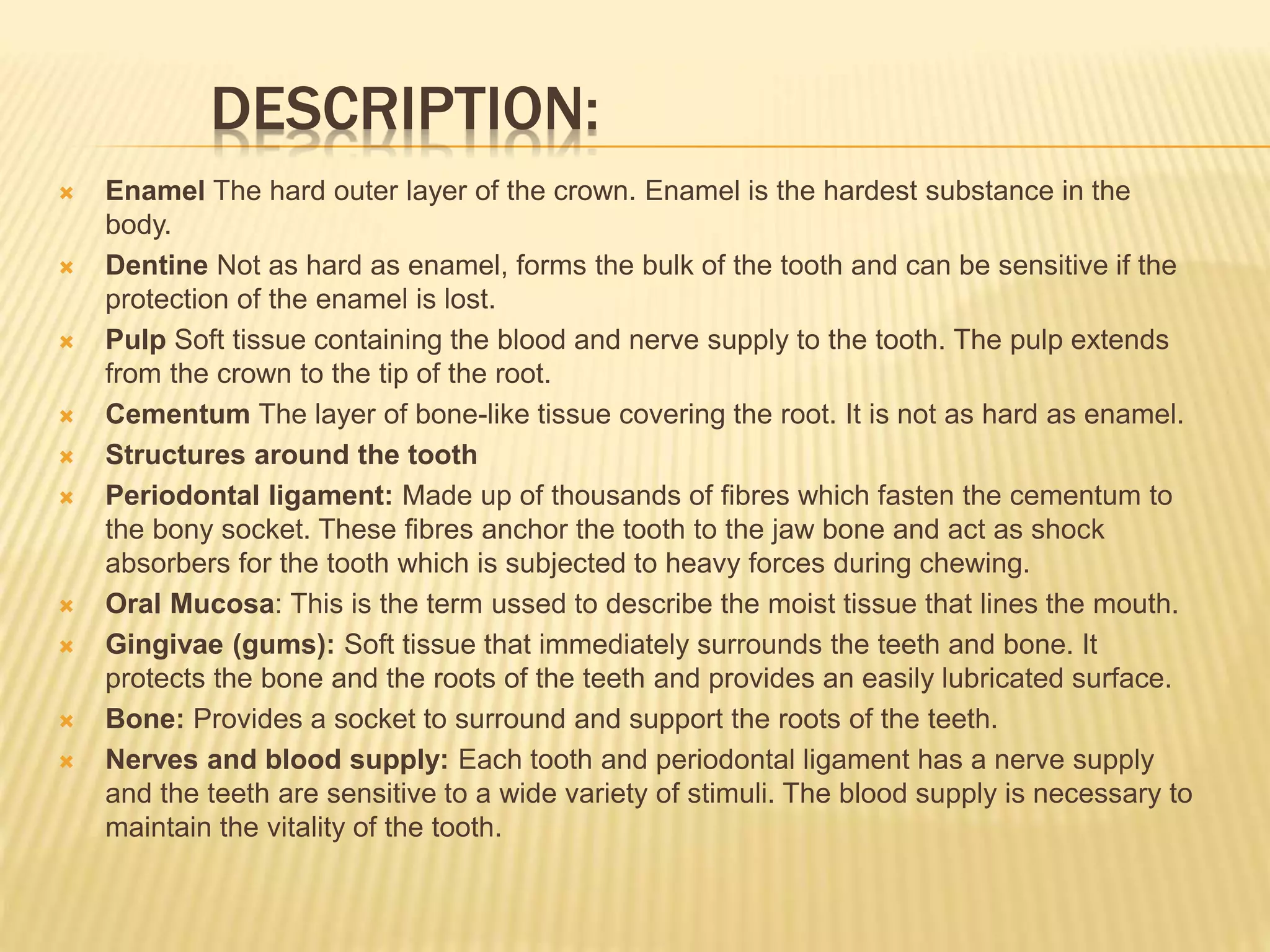 Teeth structure and cavities | PPTX