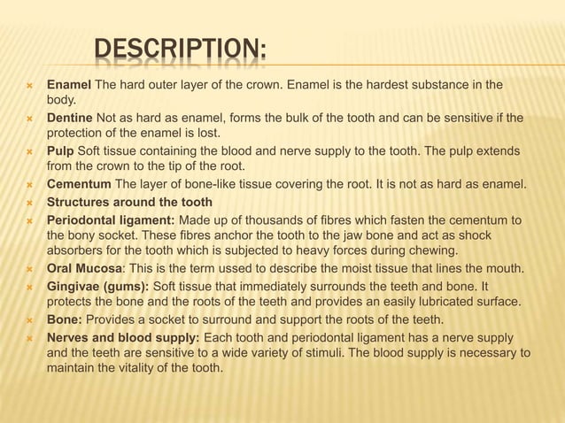 Teeth structure and cavities | PPTX