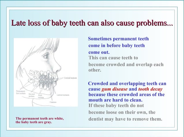 Teeth to Treasure for Grades 4-6 kids.ppt