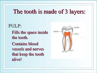 Teeth to Treasure for Grades 4-6 kids.ppt