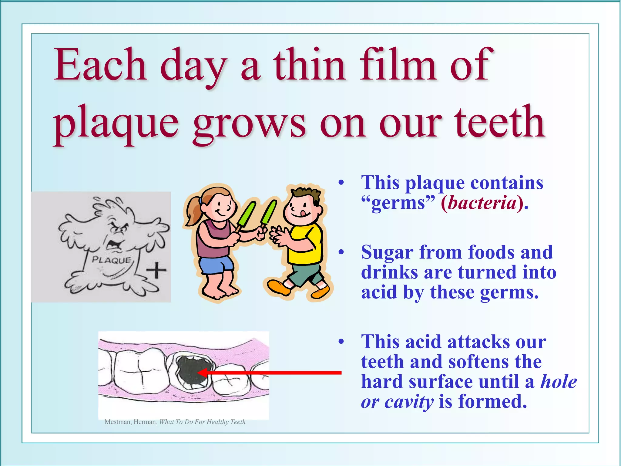 Teeth to Treasure_Grades 4-6 (1).ppt | Oral care | Personal Care