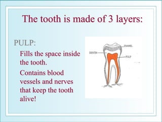 Teeth to Treasure_Grades 4-6 (1).ppt