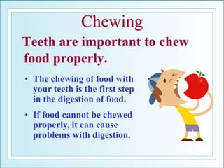 Teeth to Treasure_Grades 4-6 (1).ppt