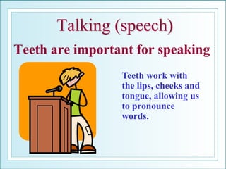 Teeth to Treasure_Grades 4-6 (1).ppt