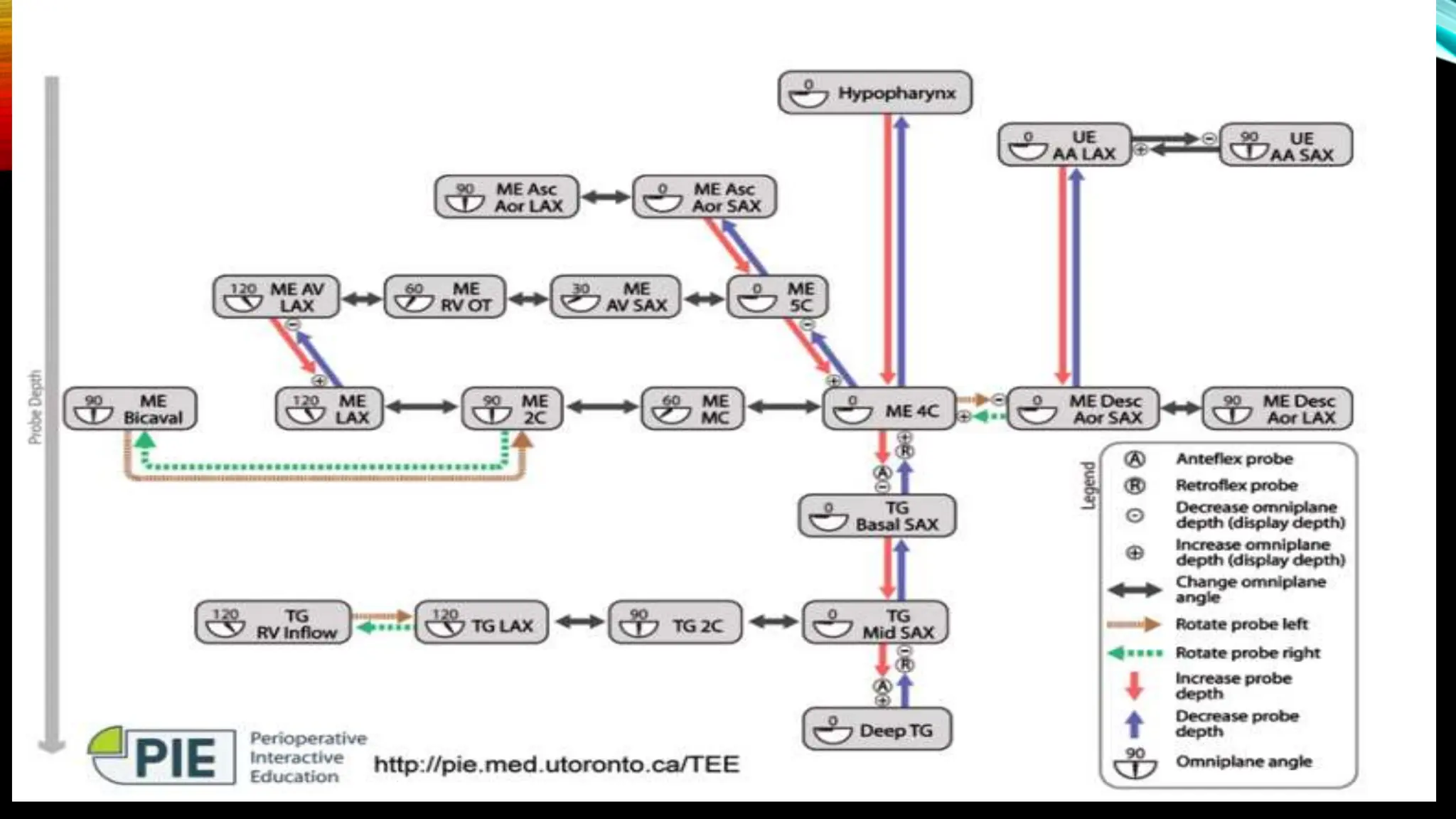 TEE VIEWS transesophageal echocardiography views.pptx