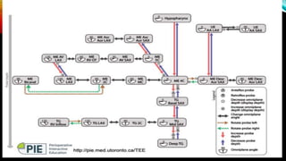 TEE VIEWS transesophageal echocardiography views.pptx