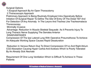 Tef.class ppt. shahin taj mam class | PPT