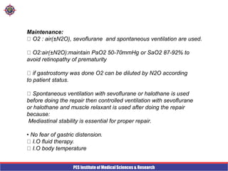 Tef.class ppt. shahin taj mam class | PPT