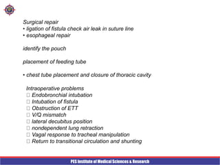 Tef.class ppt. shahin taj mam class | PPT