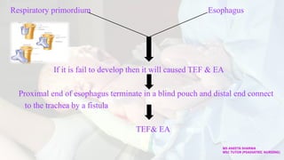 TEF & EA Bsc Nursing 5th sem.....BBBpptx | PPTX