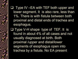 Tef ppt copy | PPTX