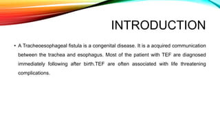 Tef ppt new | PPTX