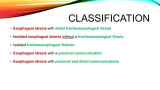 Tracheoesophageal Fistula Classification